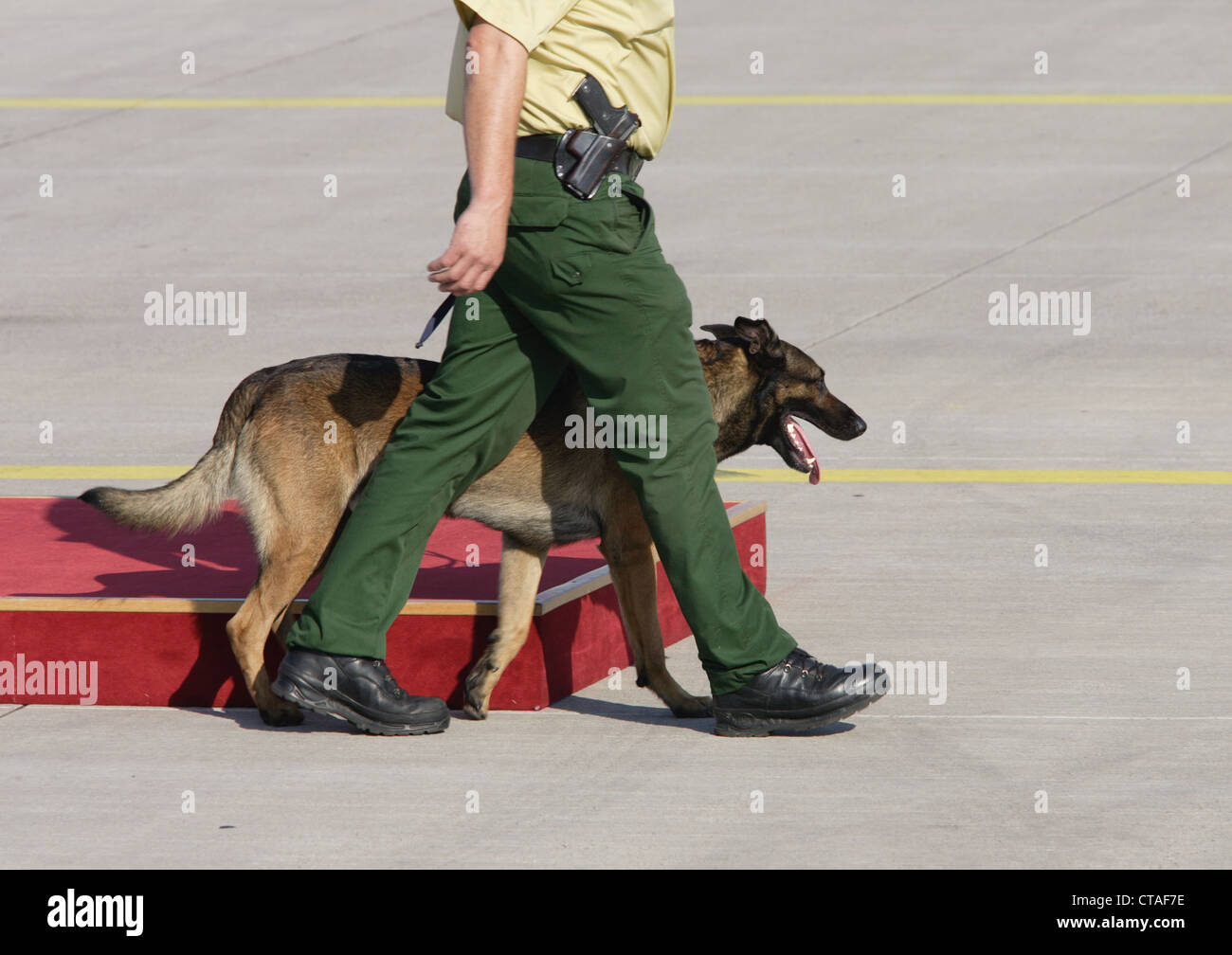 World Youth Day, a policeman with Beagle before the arrival of Pope ...