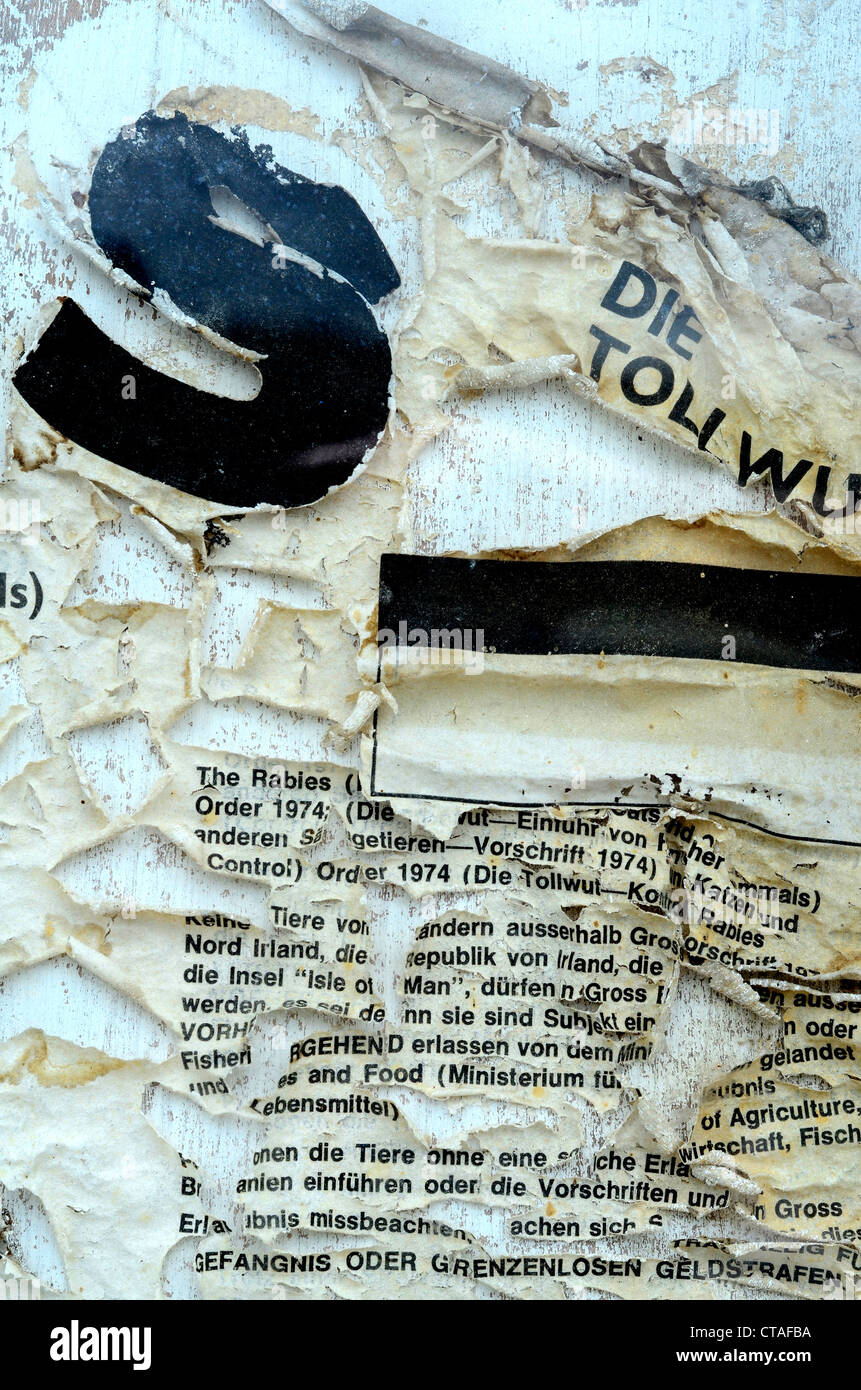 Old rabies poster behind glass window Newlyn harbor Cornwall UK Stock ...