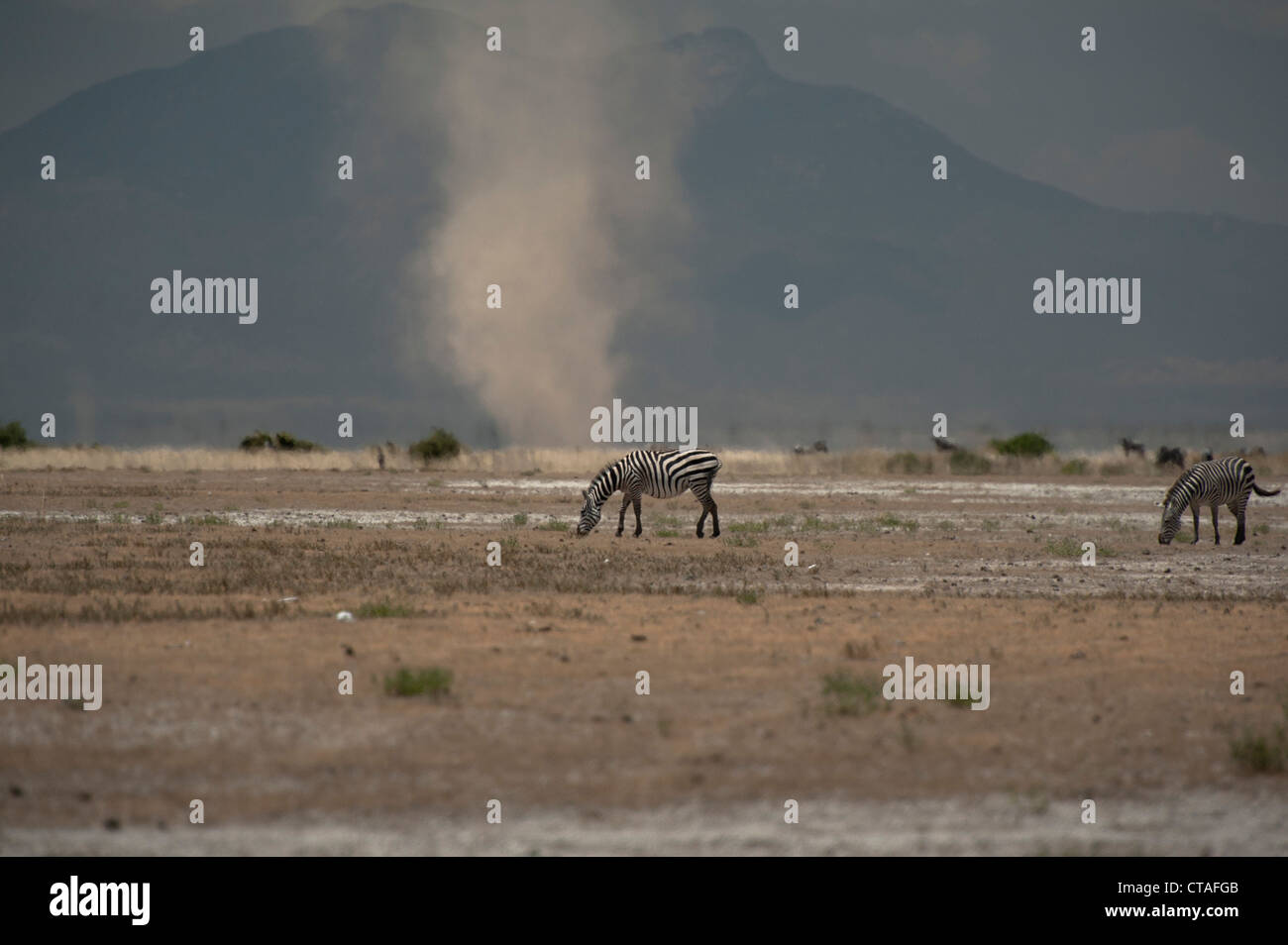 Dust twister hi-res stock photography and images - Alamy