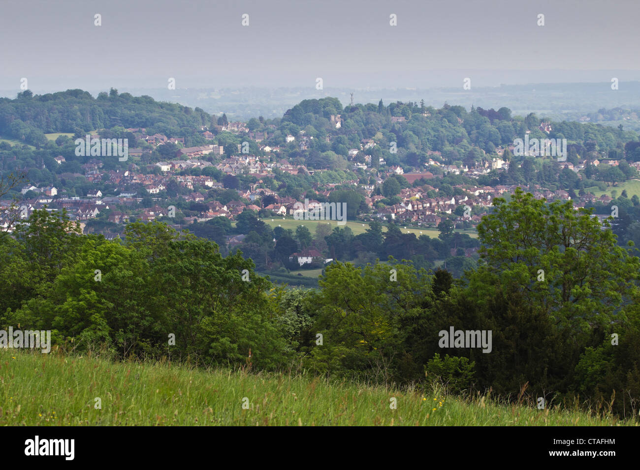 Town of Dorking from Denbies Hillside. Surrey, UK Stock Photo - Alamy
