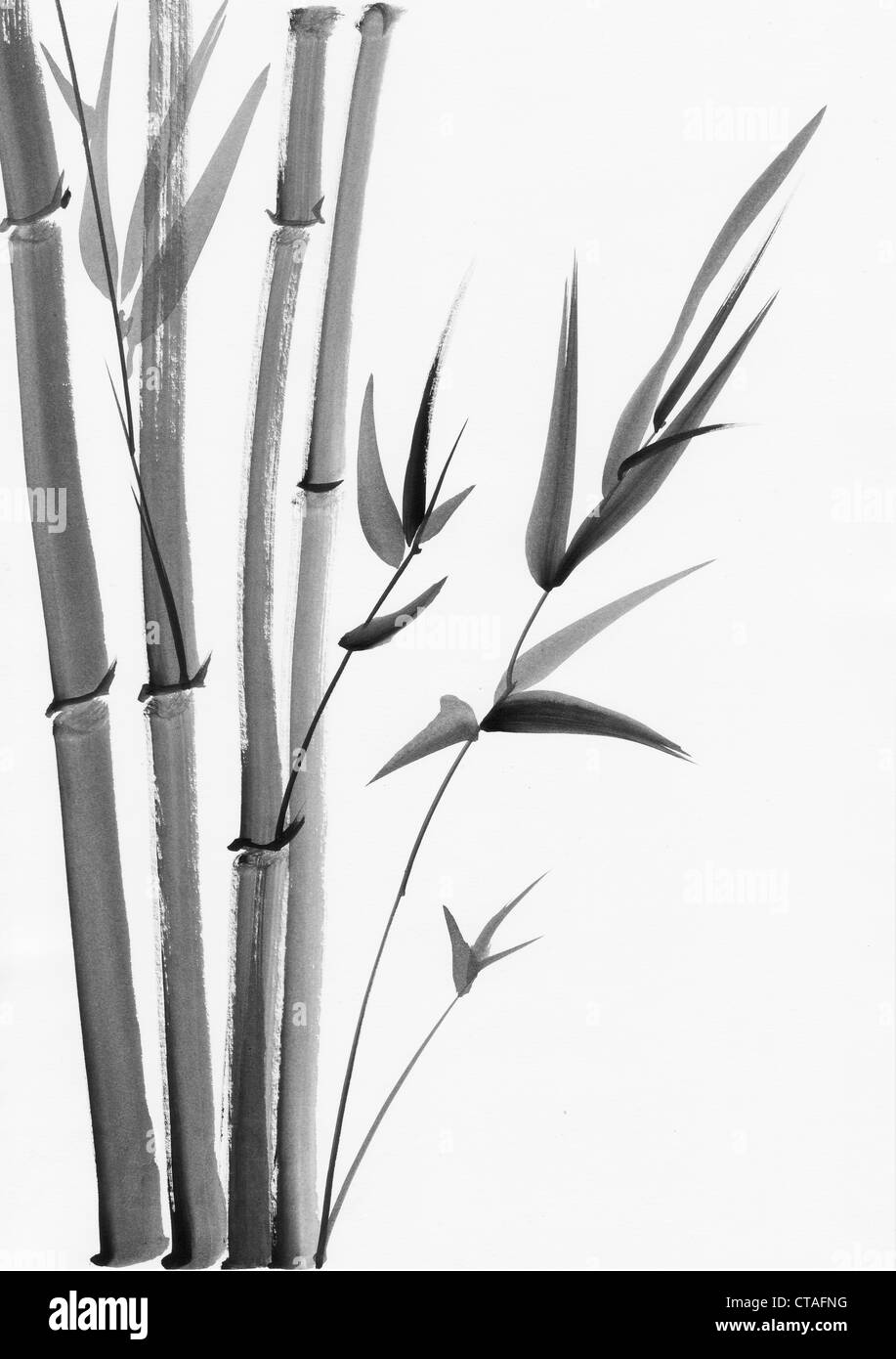 Original art, watercolor painting of bamboo, Asian style painting Stock ...