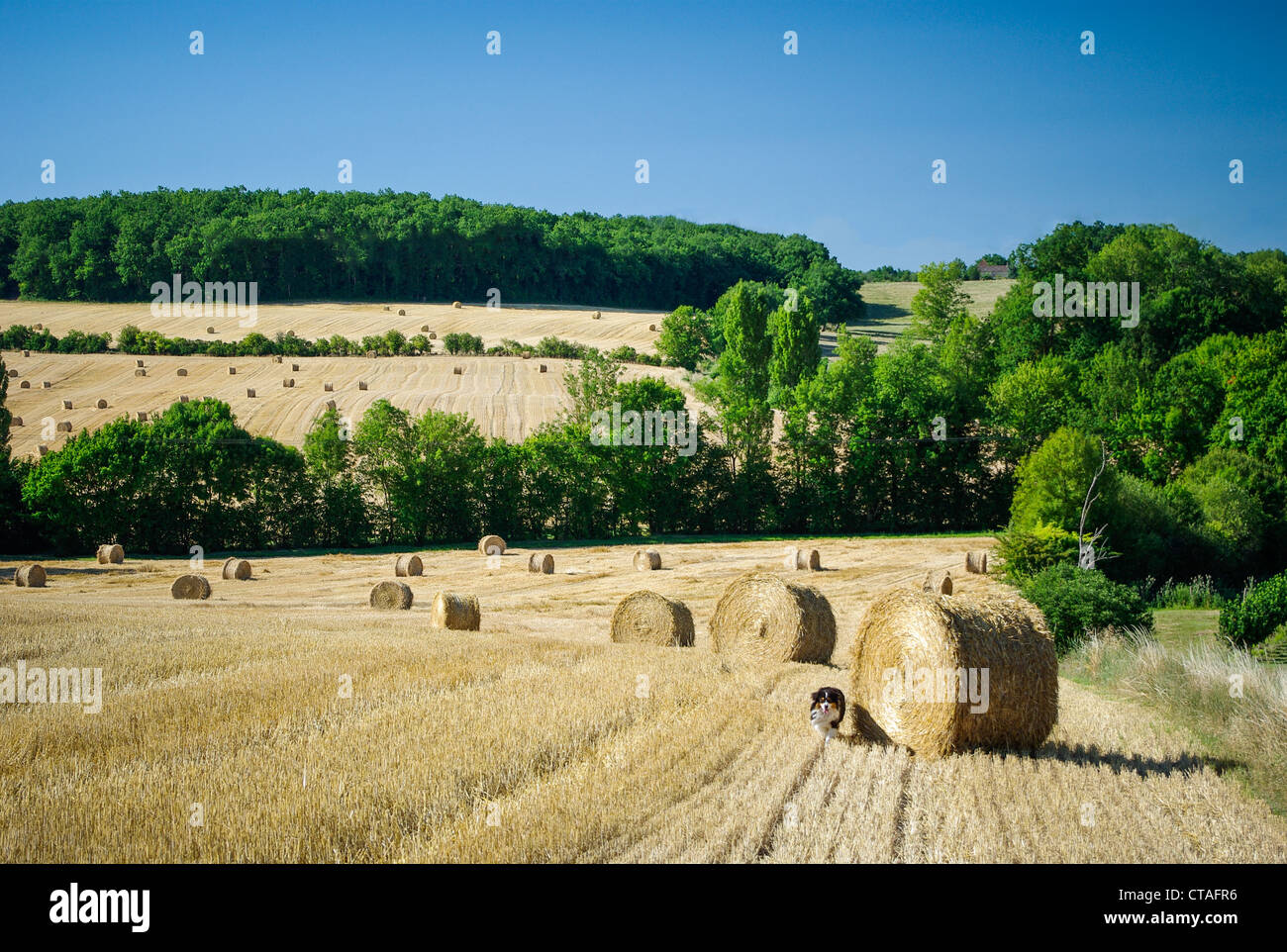 Lot et garonne countryside hi-res stock photography and images - Alamy