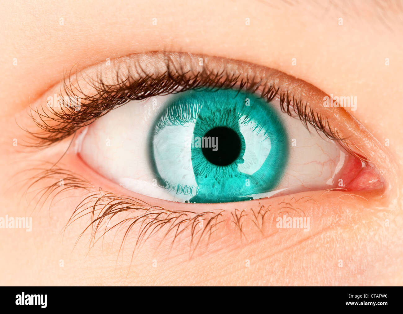 Human eye close up Stock Photo - Alamy