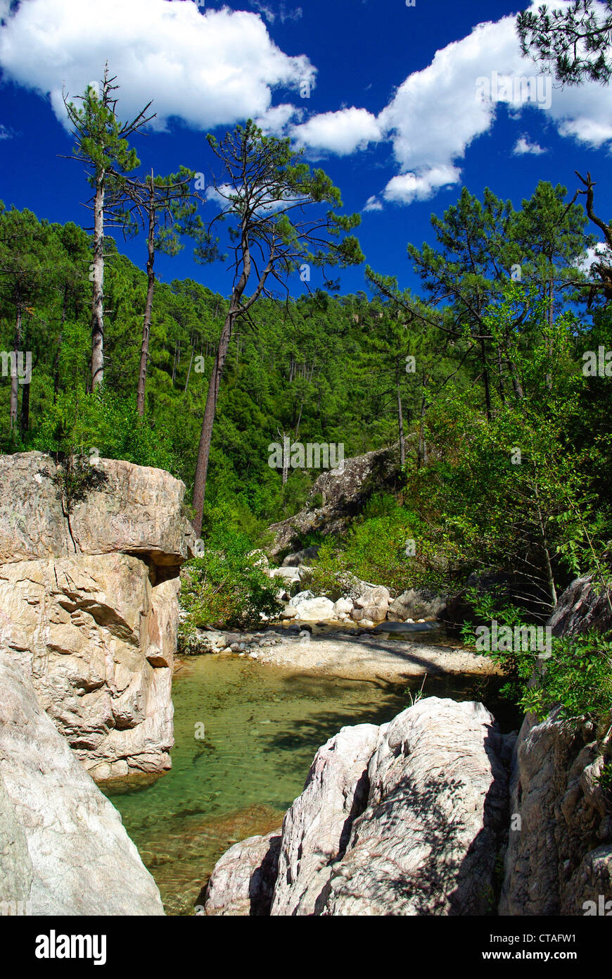 A torrent pool in Corsica, France Stock Photo - Alamy