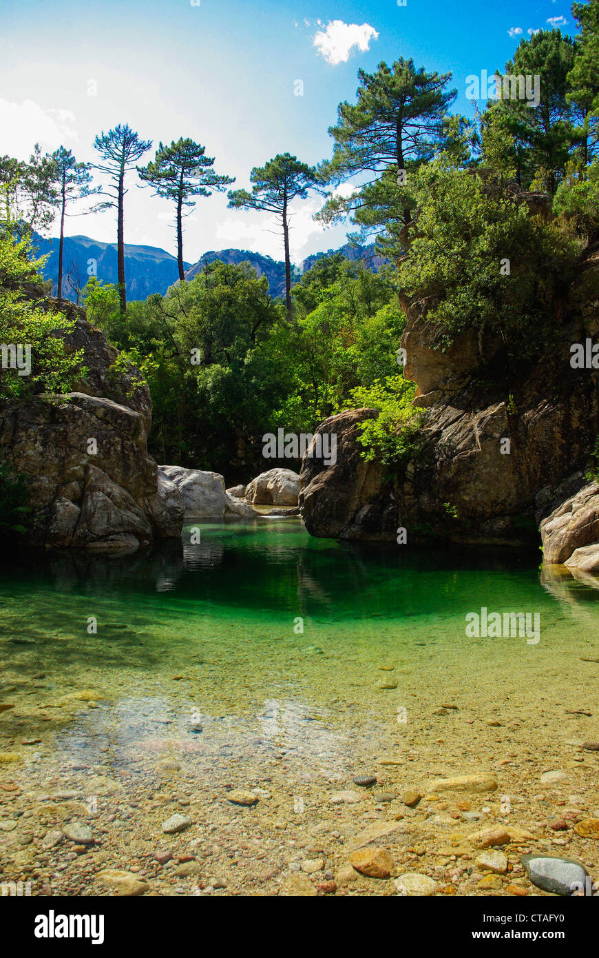 Torrent river hi-res stock photography and images - Alamy