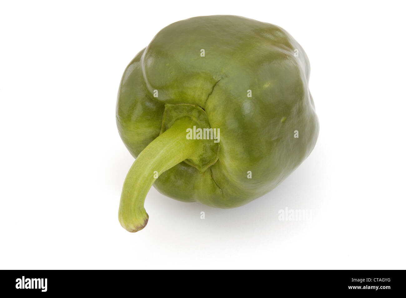 Whole green pepper (capsicum) isolated on a white background Stock ...