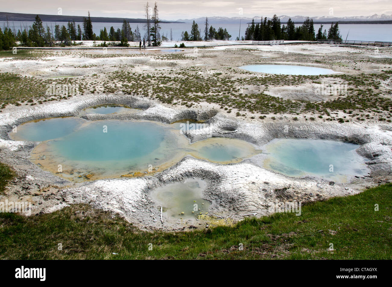 pool of boiling water in Geyser Basin on Yellowstone Lake Stock Photo ...