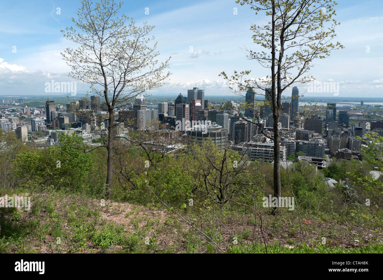 Mont royal park hi-res stock photography and images - Alamy