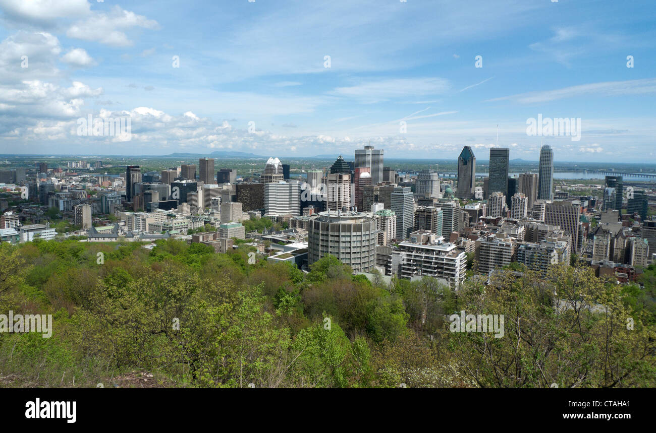 View of city of Montrea skylinel below the spring foliage of Mount ...