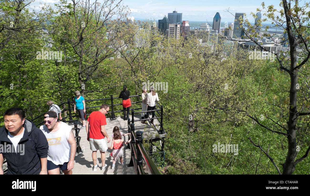 Viewing platform over the city of Montreal through lofty spring foliage ...