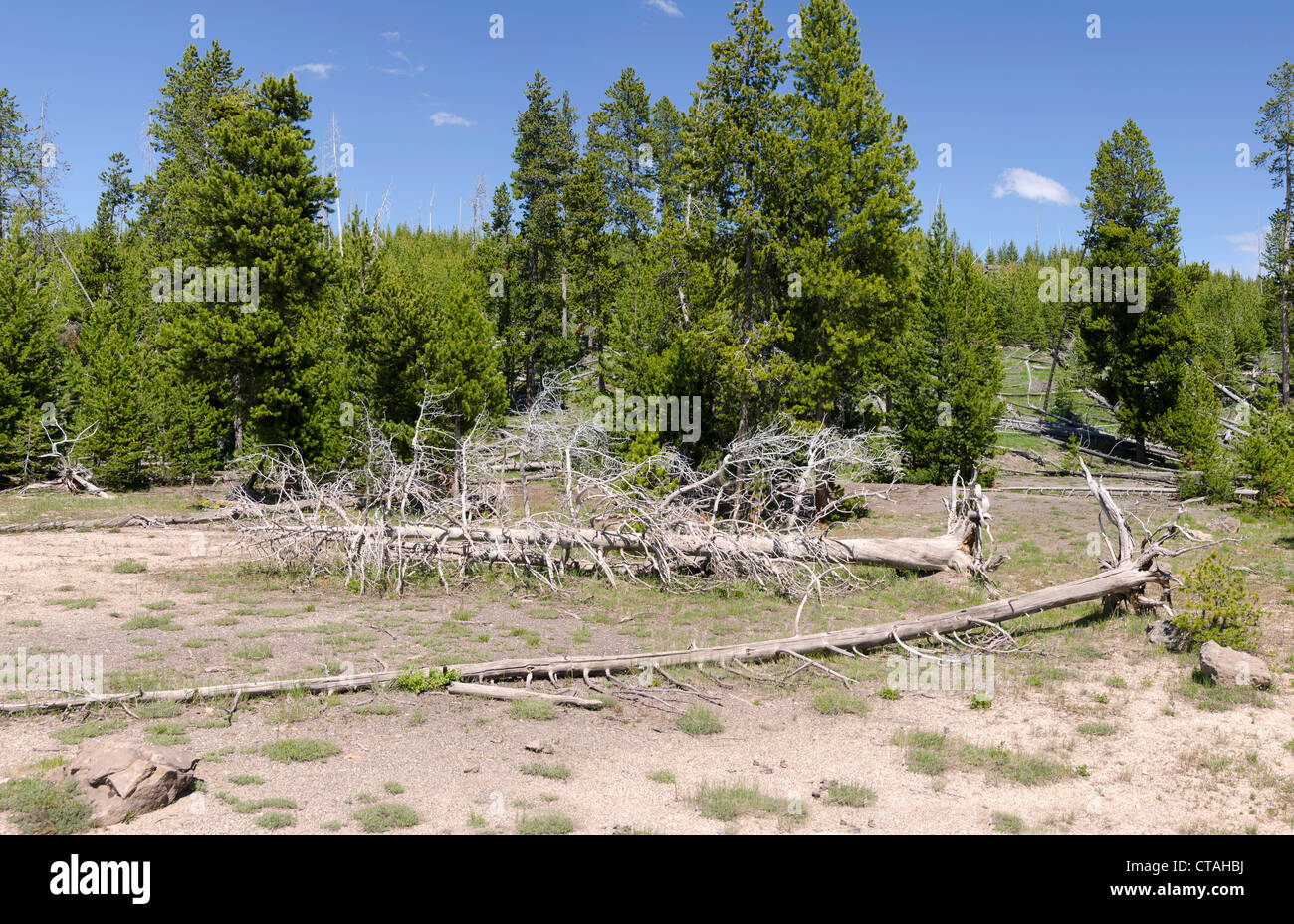 Yellowstone overview hi-res stock photography and images - Alamy