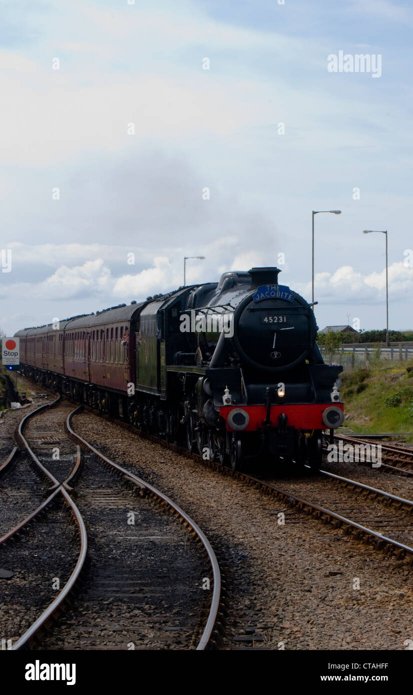 the sherwood forester, Jacobite engine steam train Stock Photo - Alamy