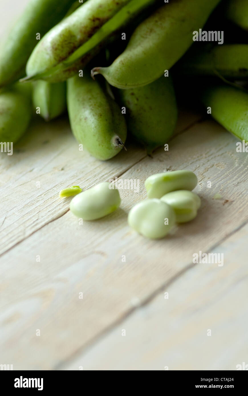 a contemporary image showing the tips of green broad beans against a ...