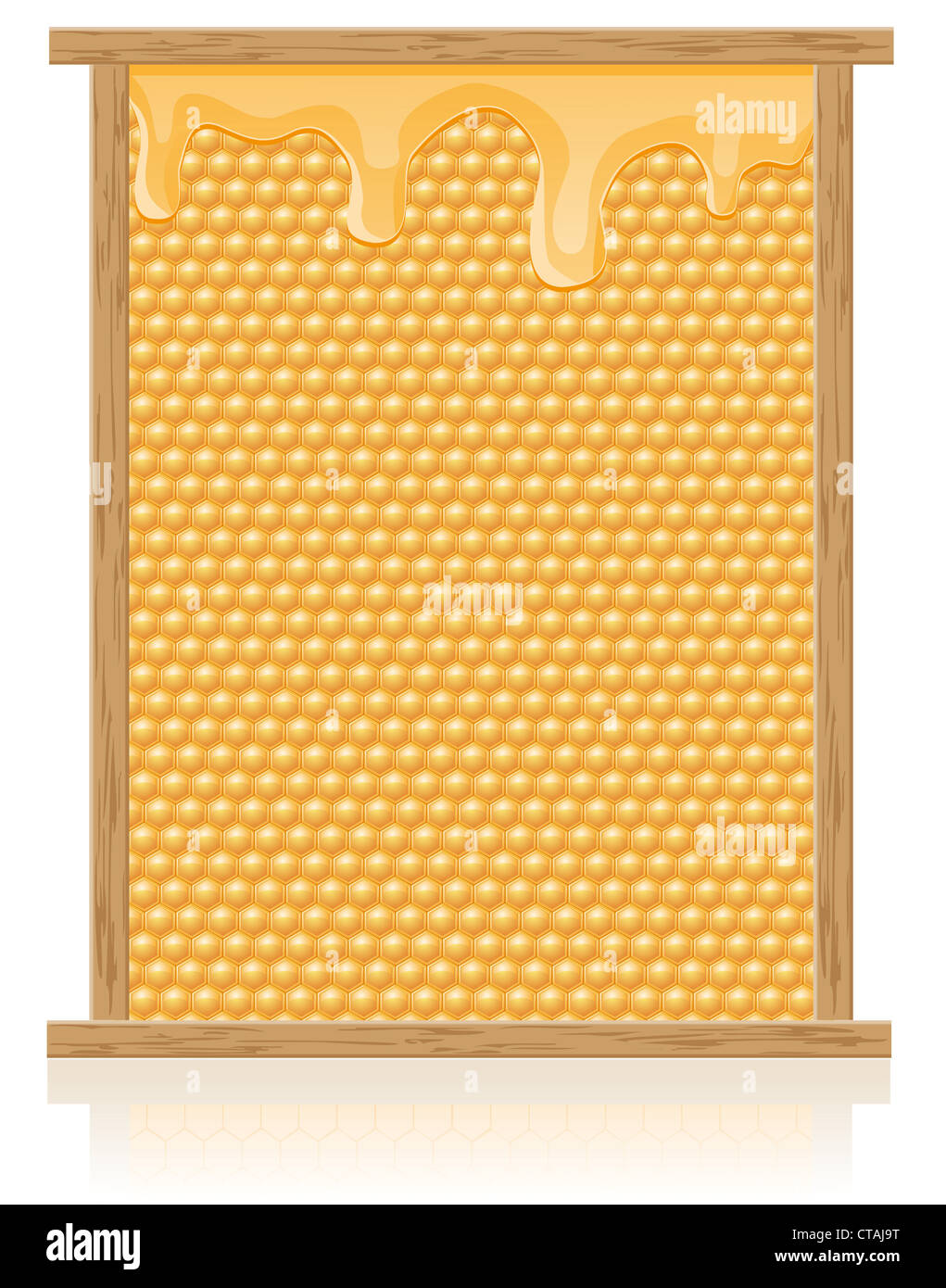 honey comb in the frame illustration isolated on white background Stock ...