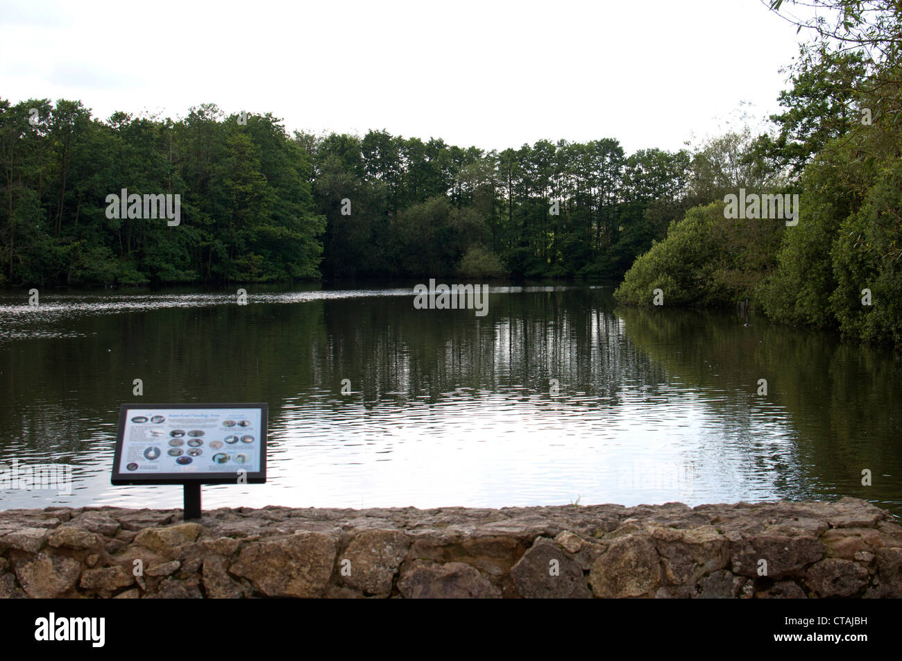 Hillfield park hi-res stock photography and images - Alamy