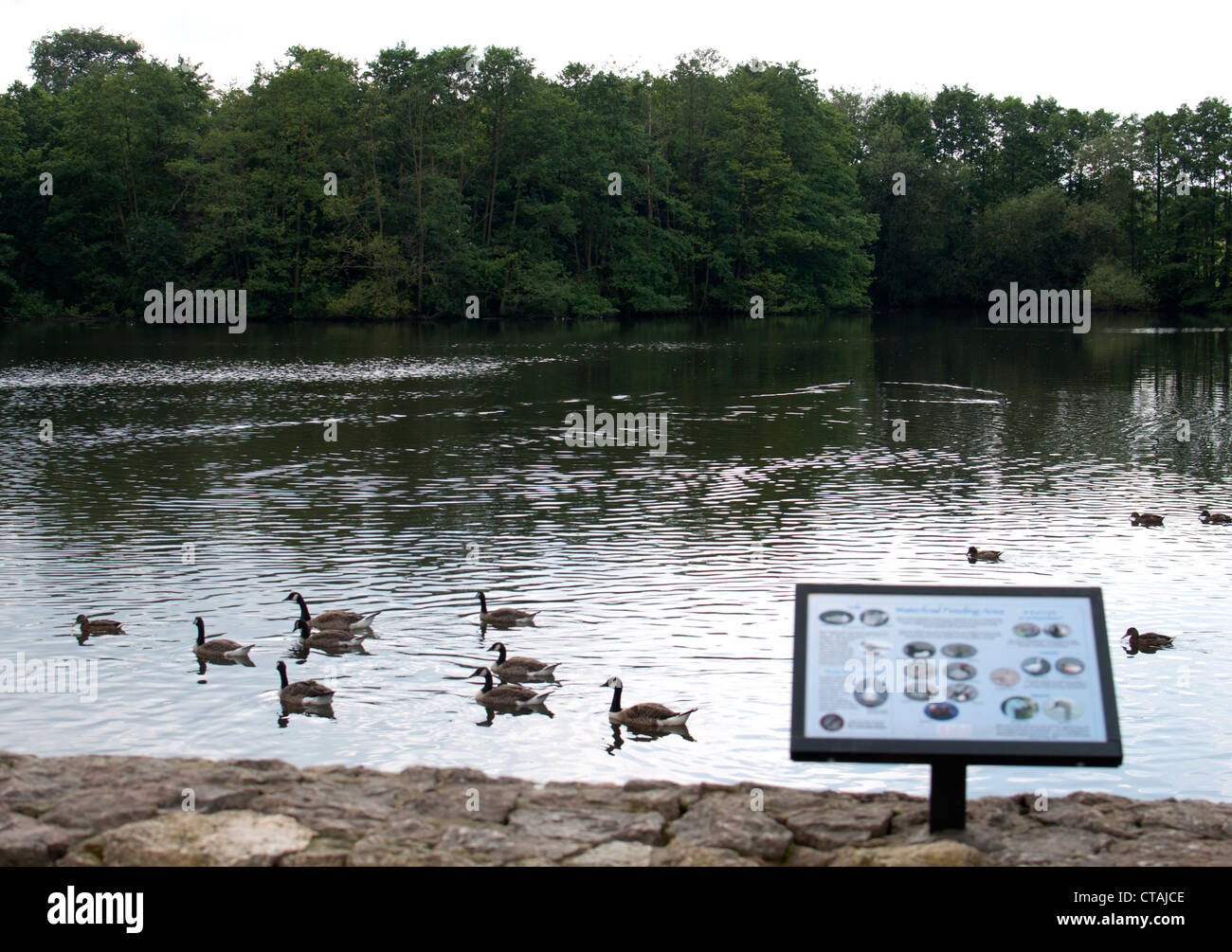 Hillfield park solihull hi-res stock photography and images - Alamy