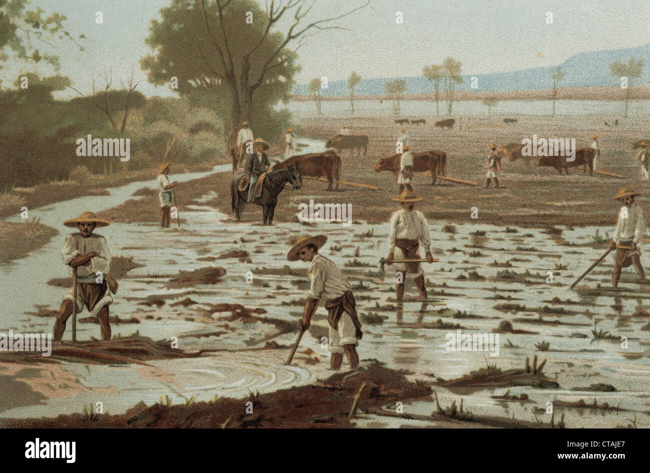 Peasants working agricultural land supervised by the foreman ...