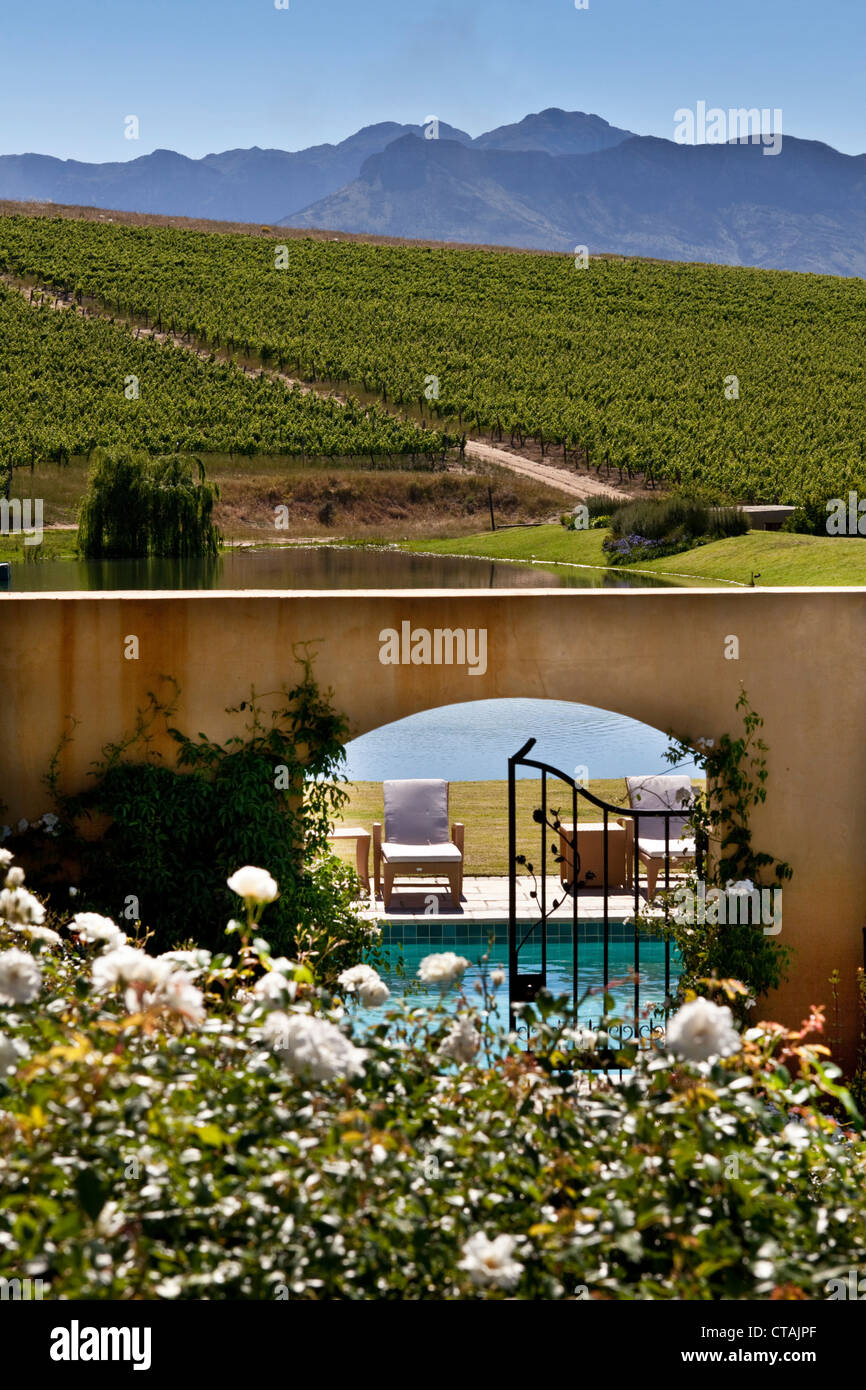 Swimming Pool at the Asara Wine Estate, Stellenbosch, Western Cape ...