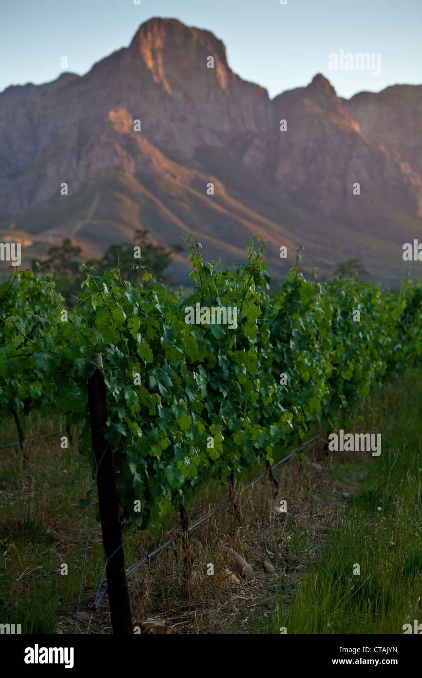 Drakenstein and stellenbosch mountains hi-res stock photography and ...