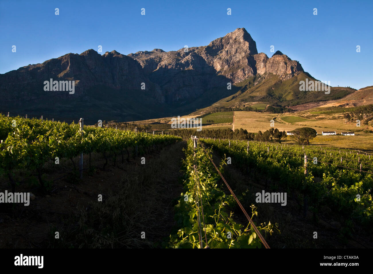 Bellingham south hi-res stock photography and images - Alamy