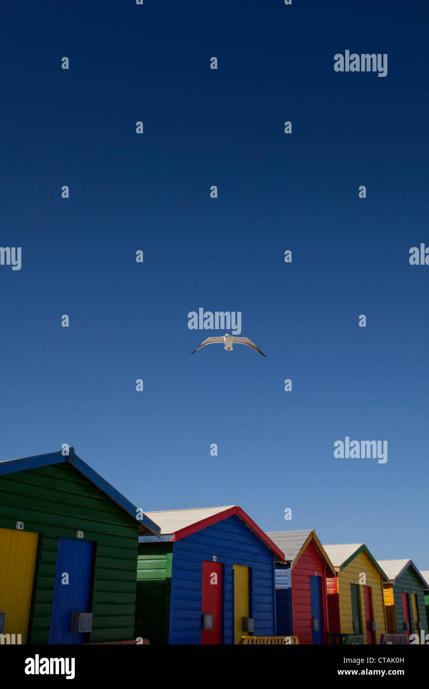 Muizenberg beach hi-res stock photography and images - Alamy