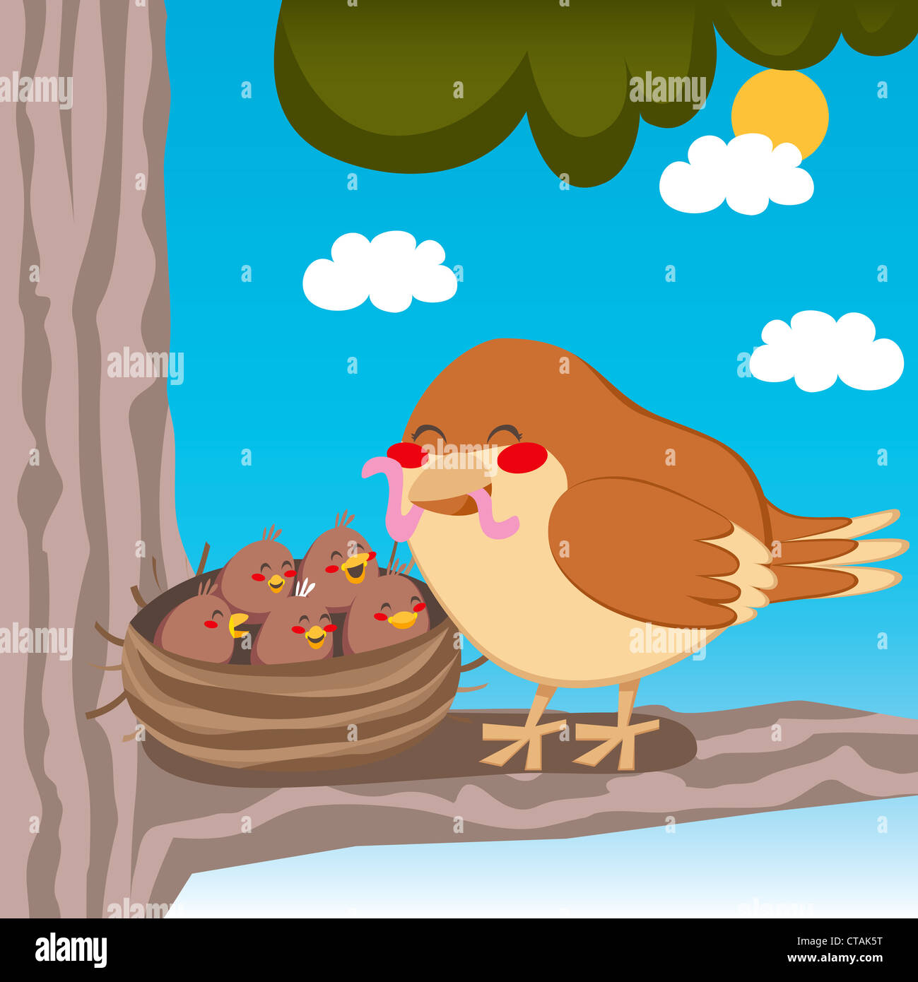 Sparrow feeding hatchlings hi-res stock photography and images - Alamy