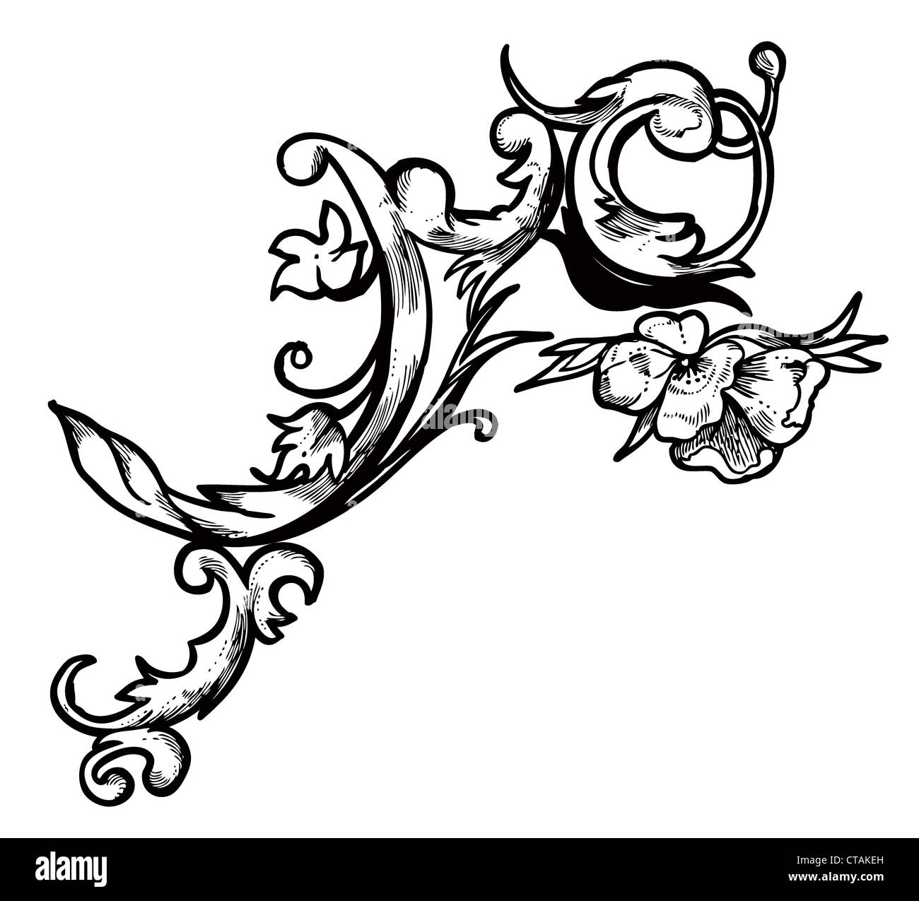 baroque floral element vector illustration Stock Photo - Alamy
