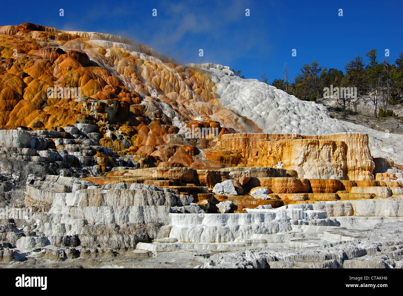 Palette spring yellowstone hi-res stock photography and images - Alamy