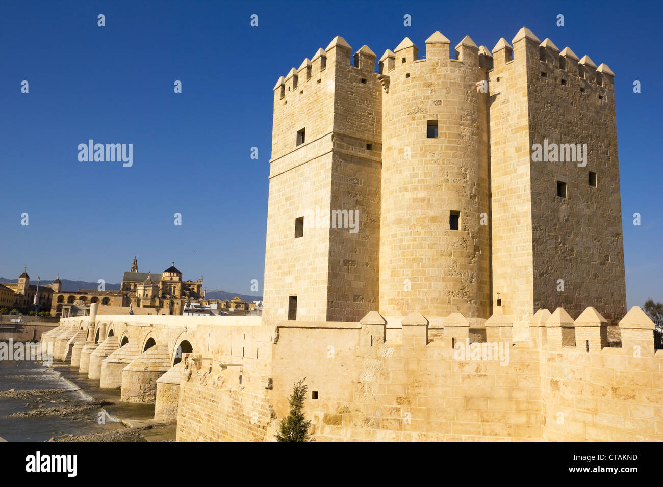 Tower of Calahorra and Roman bridge in Cordoba Stock Photo - Alamy