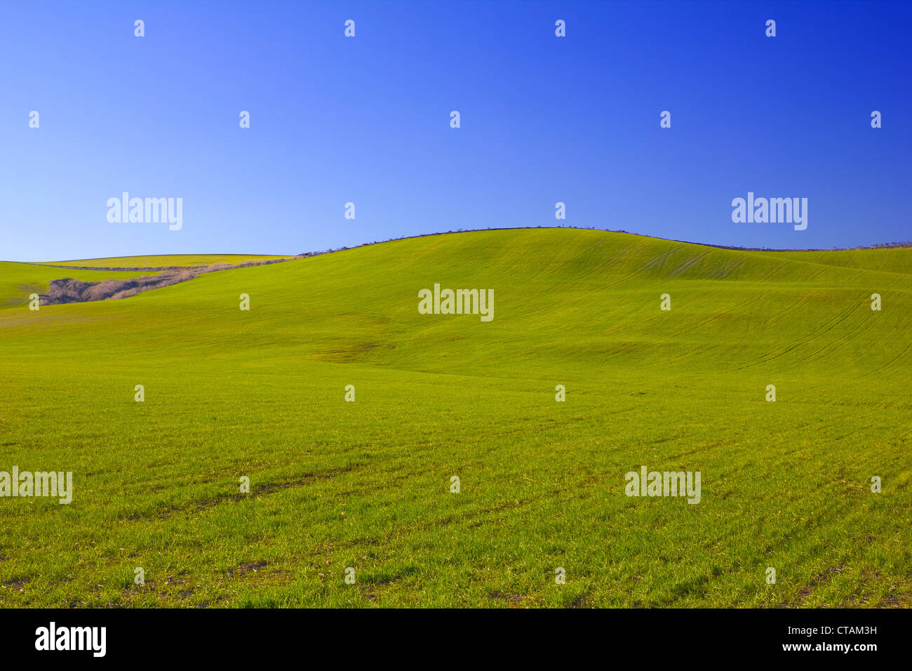Landscape of a meadow Stock Photo - Alamy