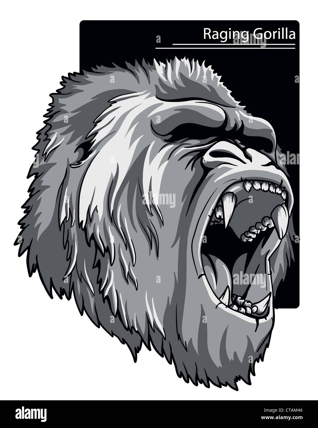 Raging gorilla vector illustration hi-res stock photography and images ...