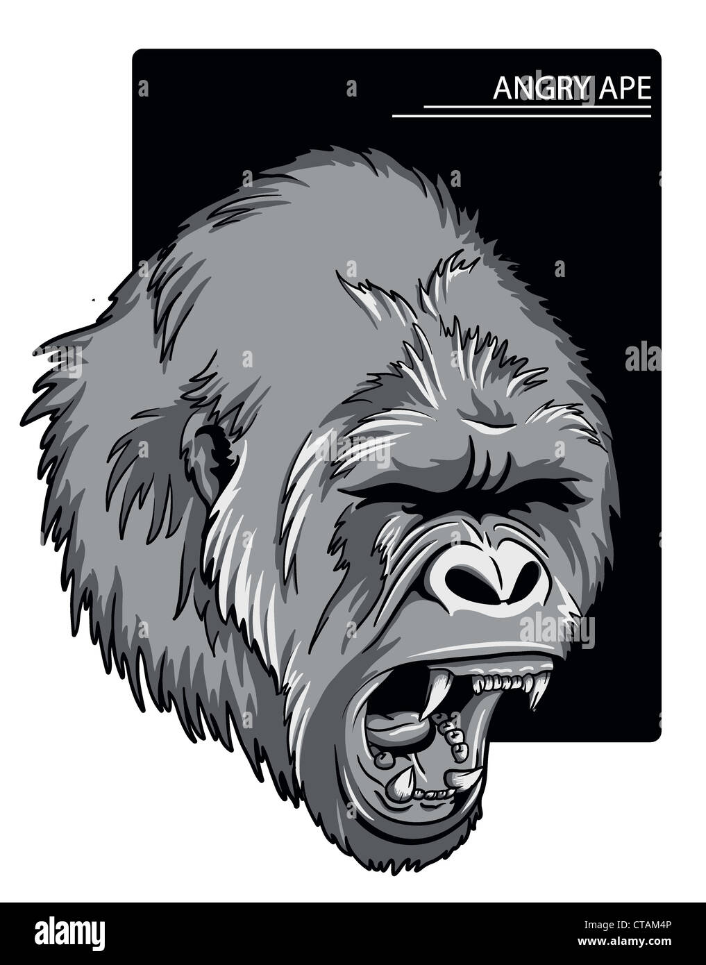 raging gorilla vector illustration Stock Photo - Alamy