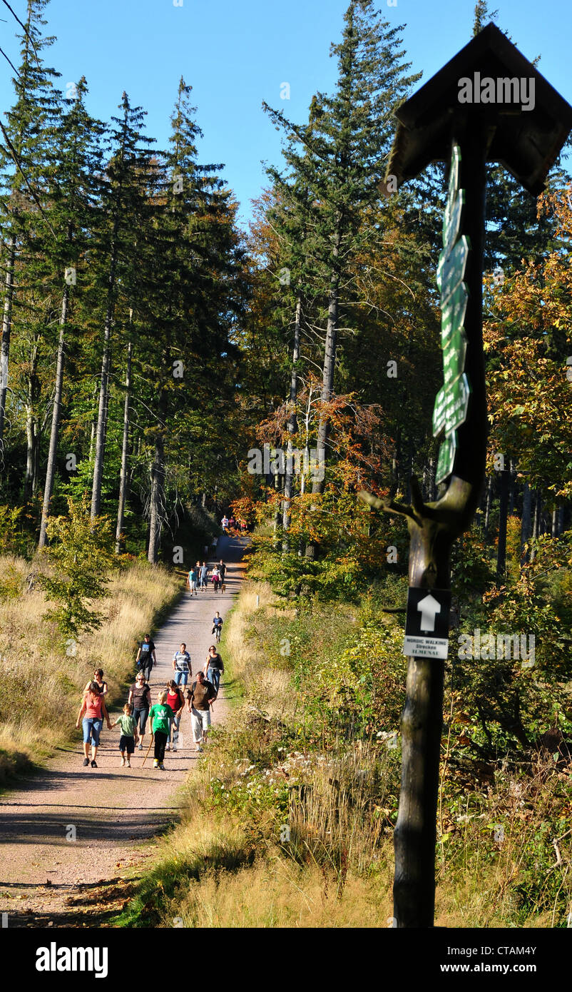 Thuringian forest ilmenau hi-res stock photography and images - Alamy