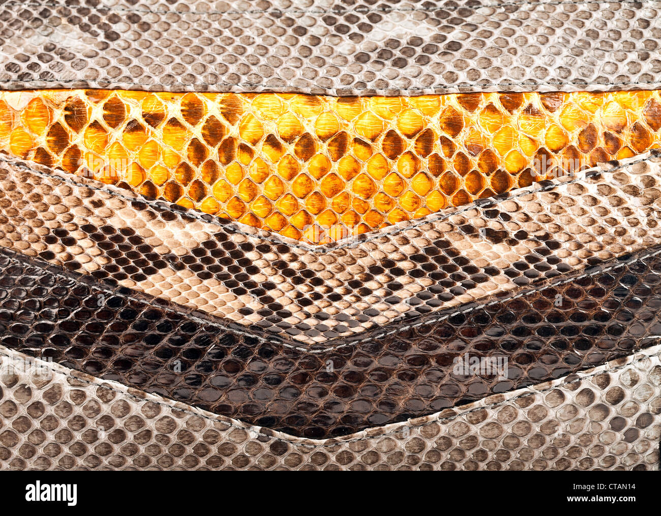 Background, texture of a skin of a snake close up Stock Photo - Alamy