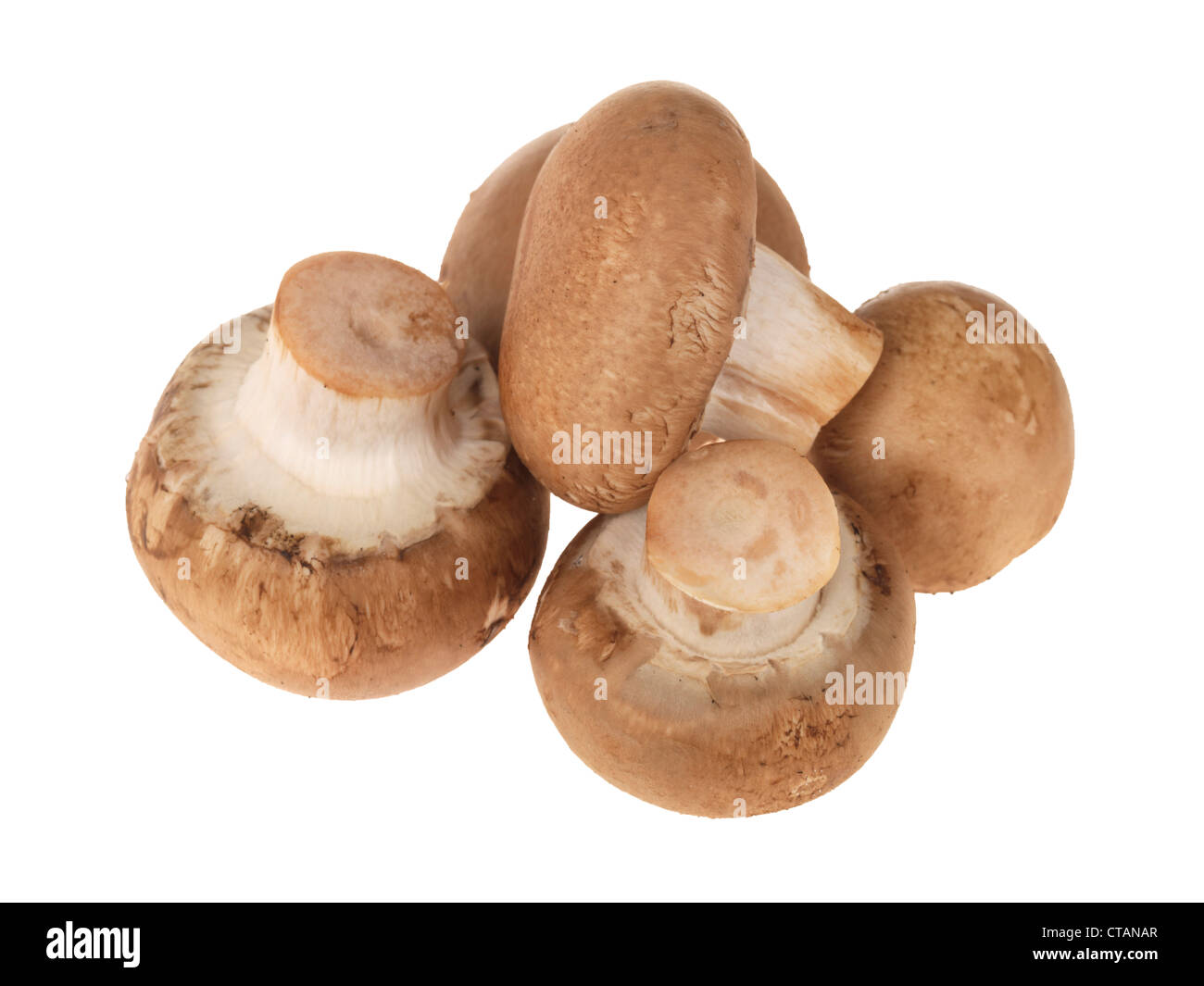 Chestnut pile Cut Out Stock Images & Pictures - Alamy