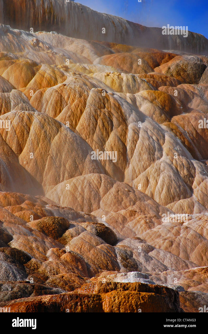 Palette Spring, Mammoth Hot Springs, Yellowstone National Park Stock ...