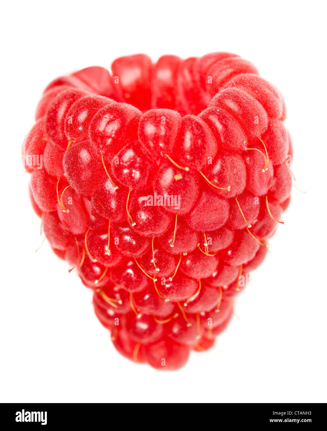 Ripe raspberry on a white background Stock Photo - Alamy