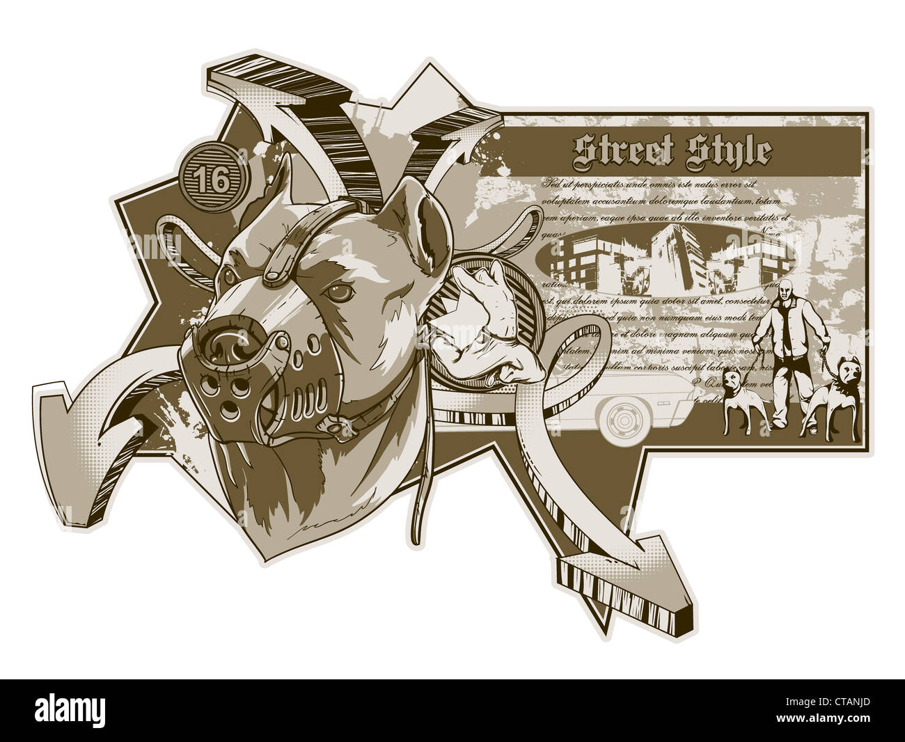 vector vintage urban label with pitbull Stock Photo - Alamy