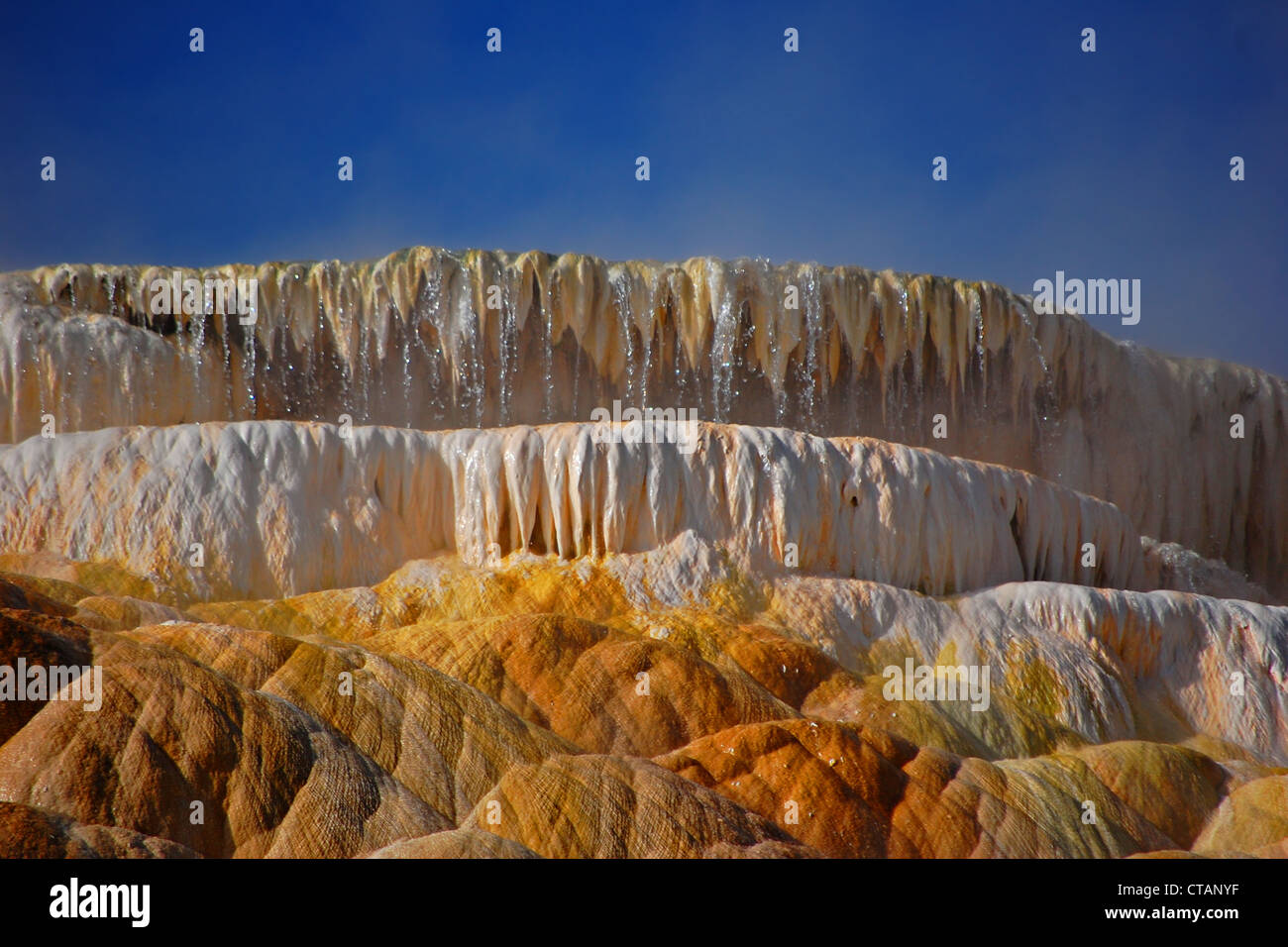 Palette Spring, Mammoth Hot Springs, Yellowstone National Park Stock ...