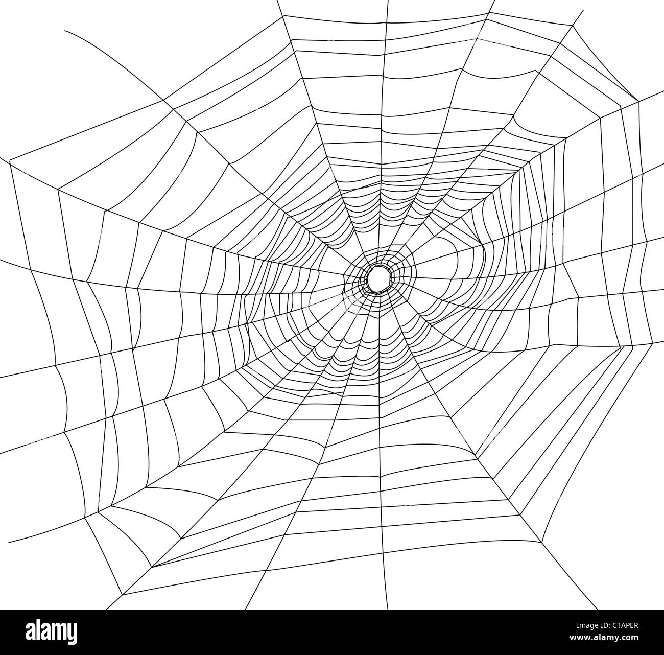 Spider and cobweb Cut Out Stock Images & Pictures - Alamy