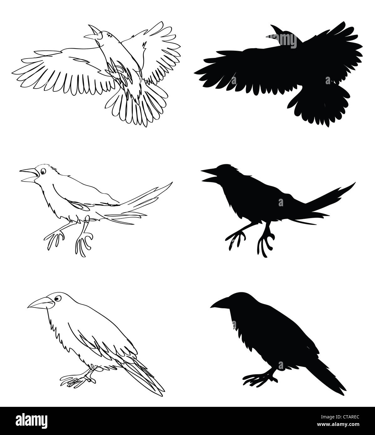 doodle and silhouettes illustrations of crows Stock Photo - Alamy