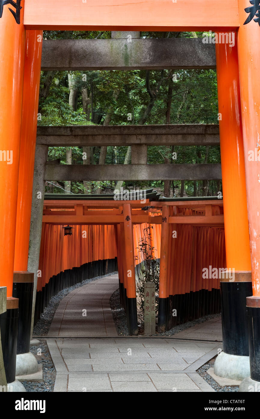 A thousand red torii gates (the Senbon Torii) stand at Fushimi Inari ...