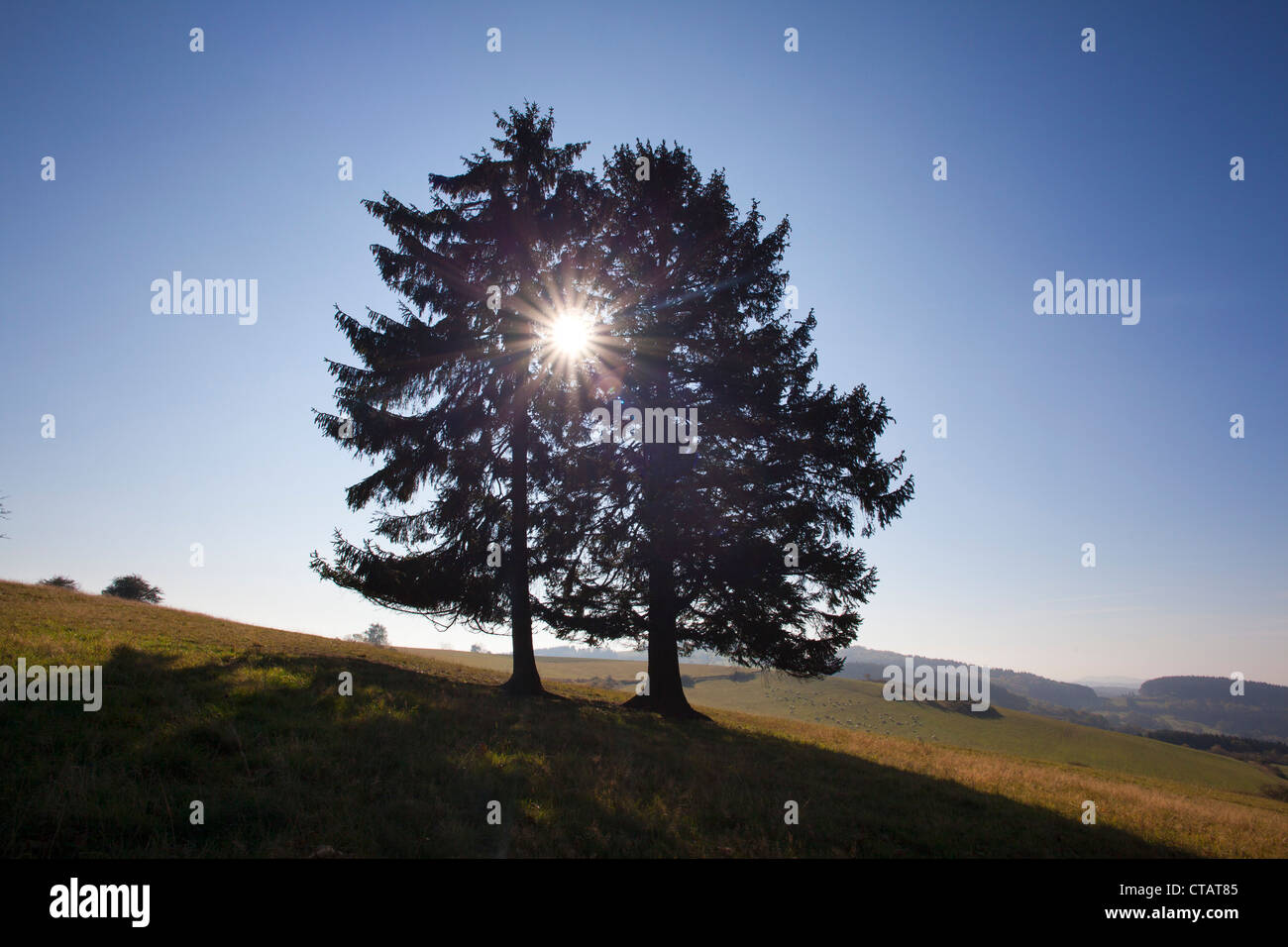 Eifelsteig High Resolution Stock Photography and Images - Alamy