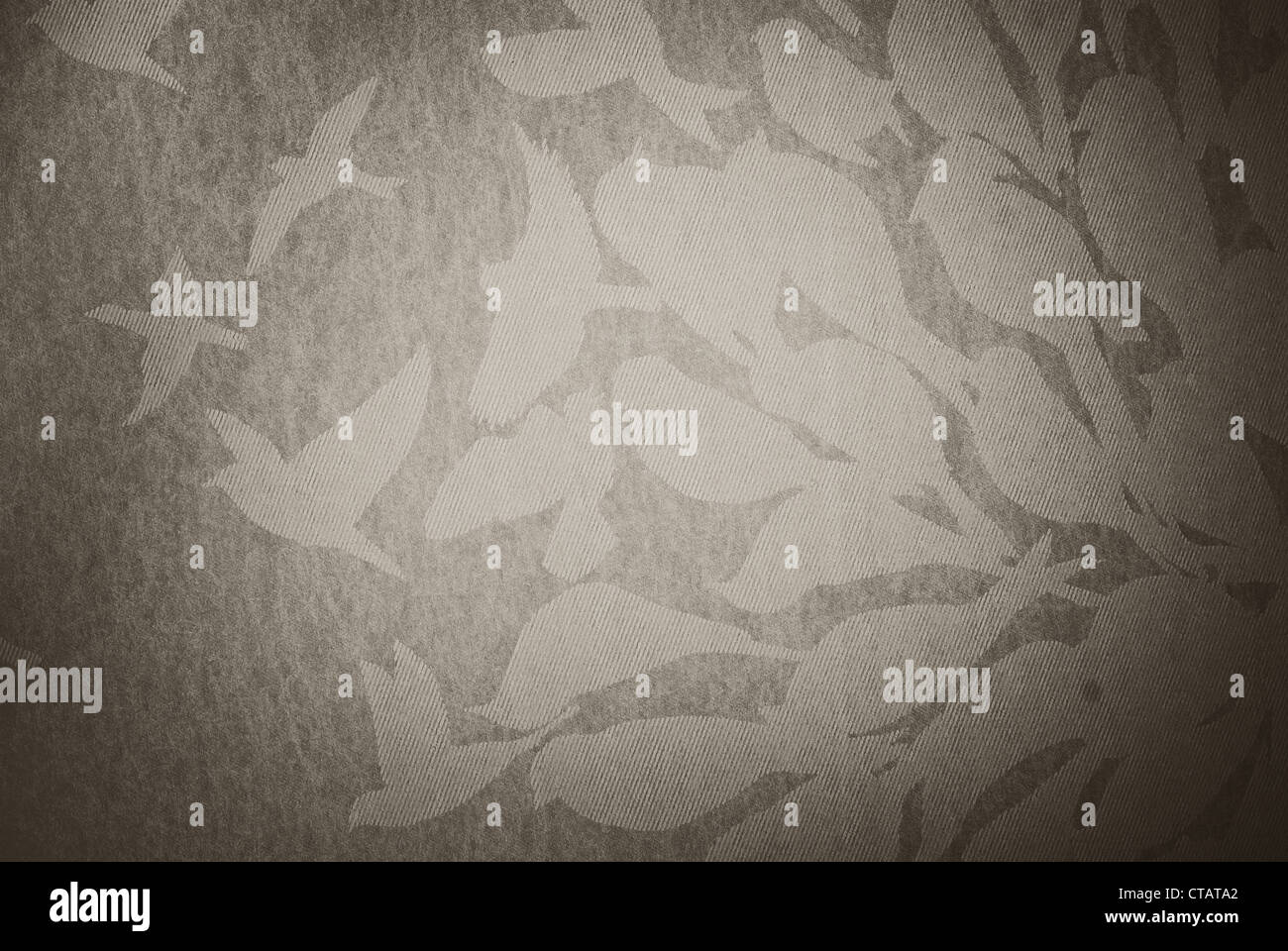 bird abstract background or texture Stock Photo - Alamy