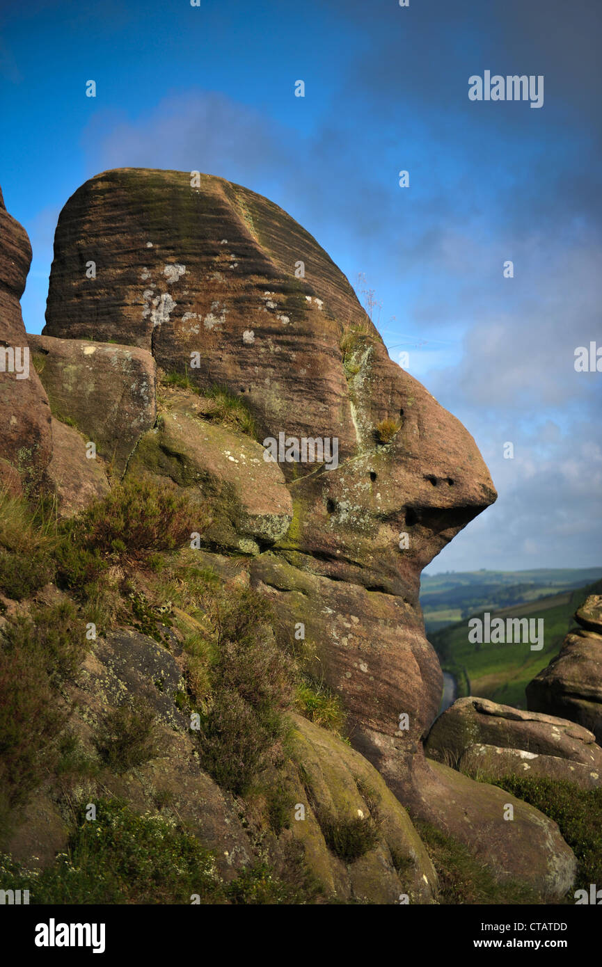 Human face shape in rock hi-res stock photography and images - Alamy