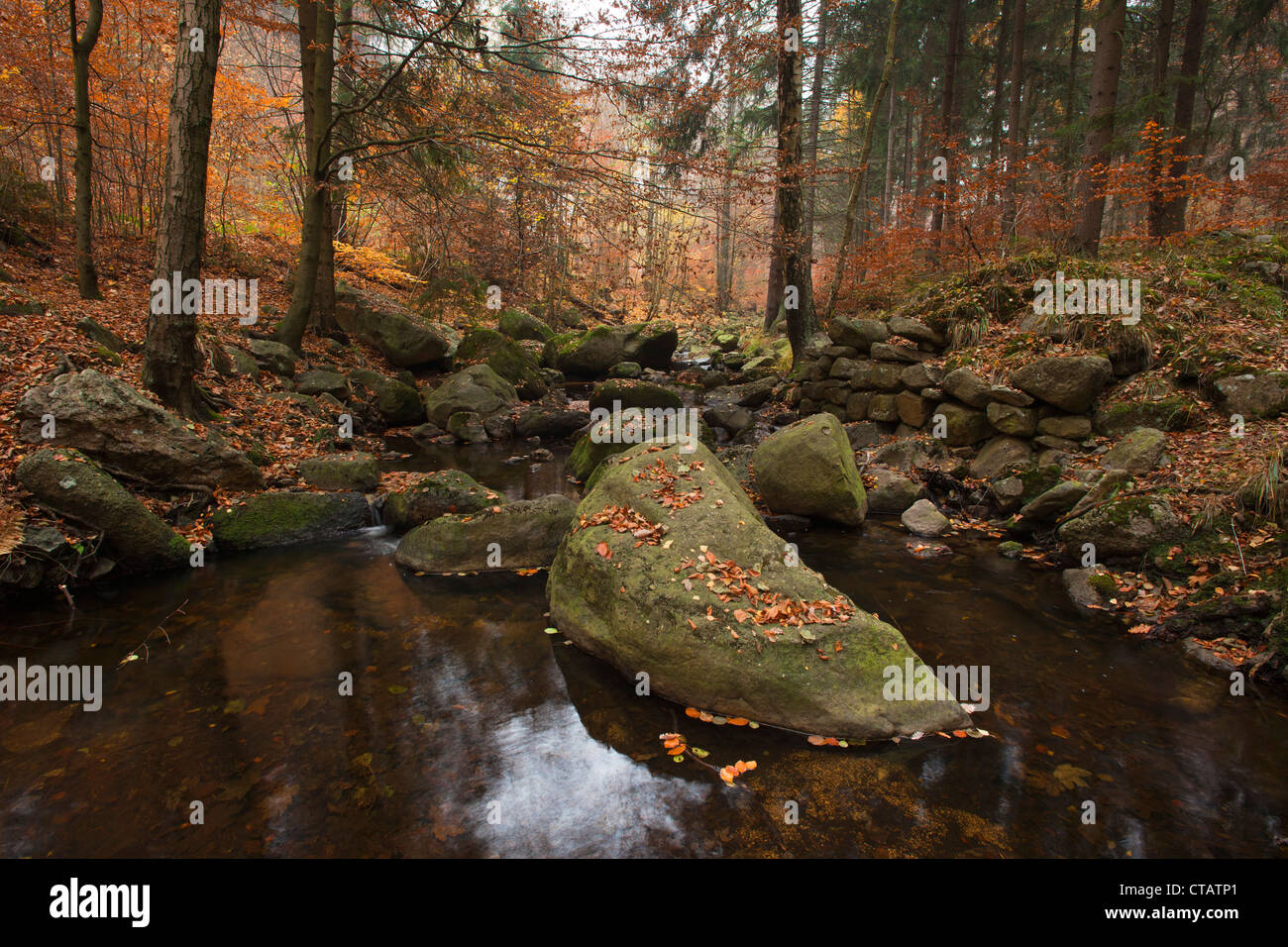 Steinerne Renne in autumn, creek at Holtemme valley, Harz mountains ...