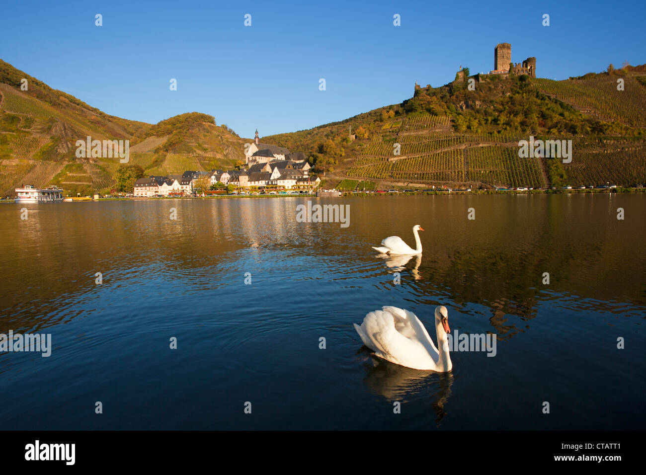 Metternich castle hi-res stock photography and images - Alamy