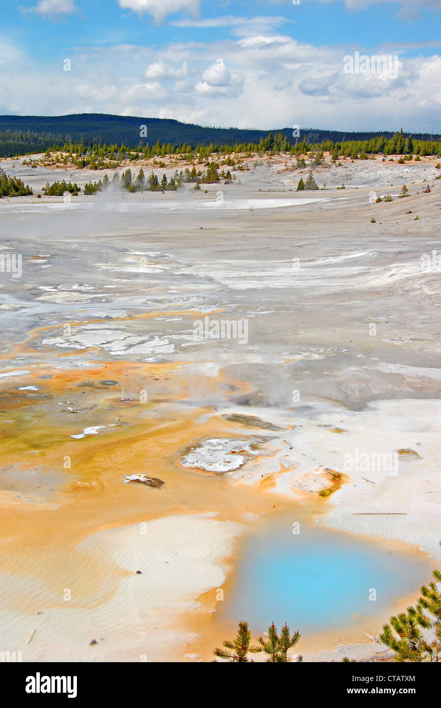 Norris Geyser Basin, Yellowstone National Park Stock Photo - Alamy