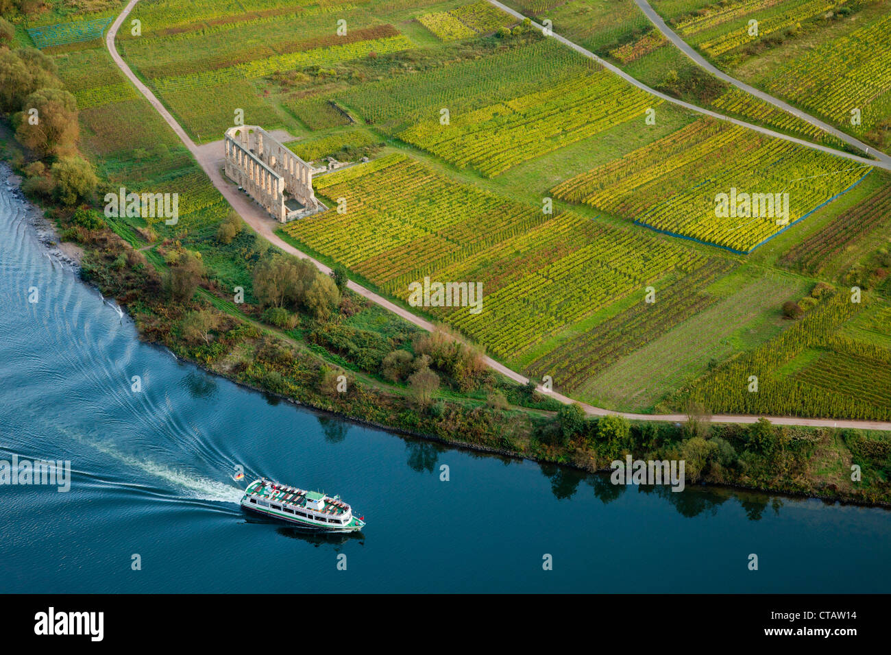 View from Bremmer Calmont vineyard to Stuben monastery ruins, Bremm ...