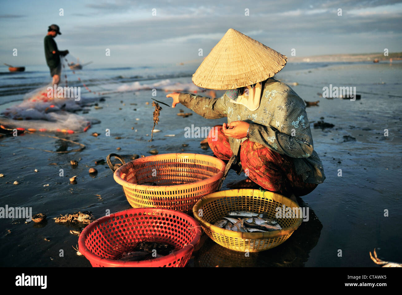 Vietnamese woman with hat sorting fish at the beach, fishing village ...